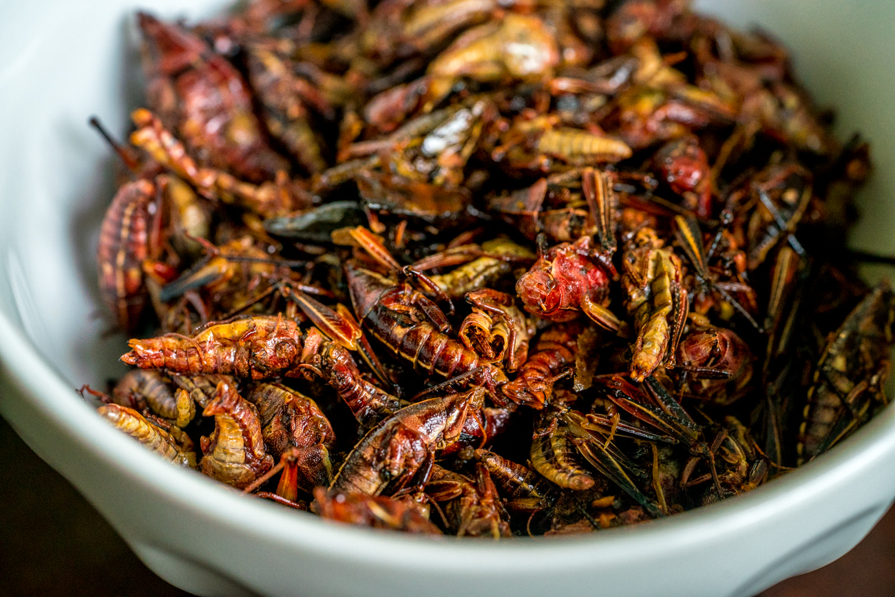 Crickets Food Mexico at Sean Chaffey blog