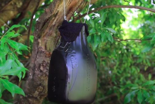 DIY Mosquito Traps & Deterrents (That Really Work) | Ogkologos.com