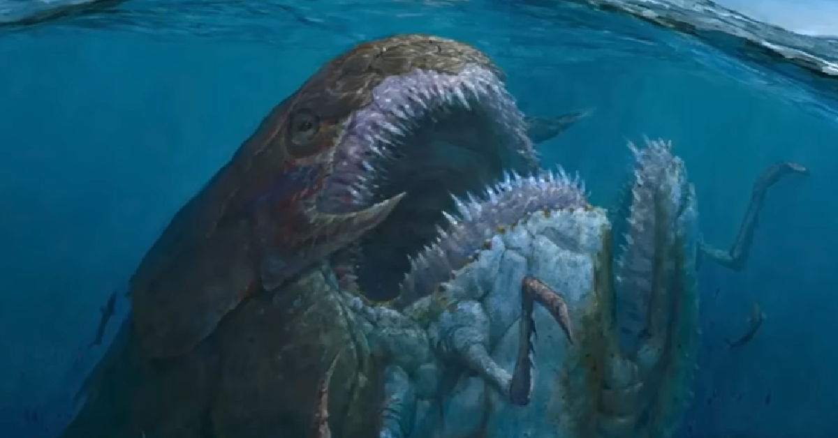 The Loudest Underwater Sound Ever Recorded Baffles Scientists For Years ...